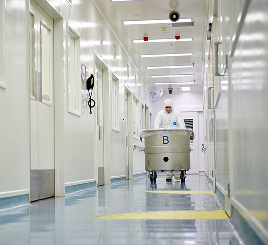 History | DEC NZ | New Zealand